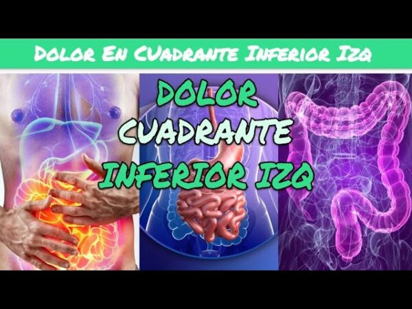 Todo lo que necesitas saber sobre el dolor en la zona abdominal ...