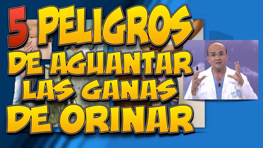 Descubre qué sucede en tu cuerpo cuando aguantas las ganas de orinar ...