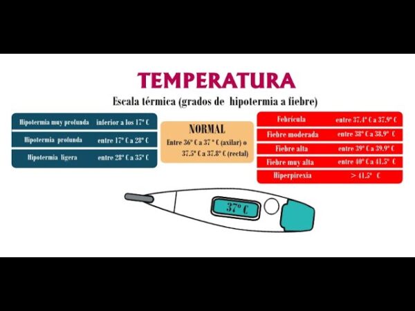 Descubre cuántos grados de fiebre se consideran altos en un adulto ...