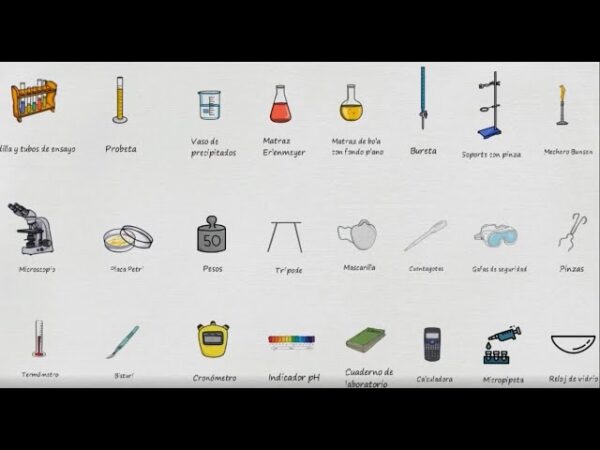 Descubre los beneficios y usos de la nuez de laboratorio: ¡todo lo que ...