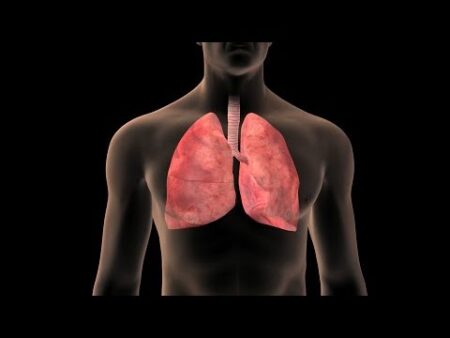 Descubre la ubicación exacta de los pulmones en el cuerpo humano ...