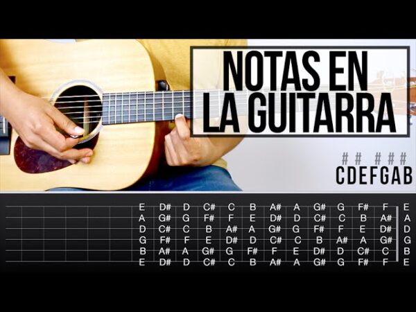 Conviértete en un experto en notas en los trastes de guitarra: Guía ...
