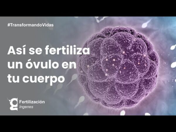 Descubre la asombrosa unión del óvulo y el espermatozoide: El inicio de ...