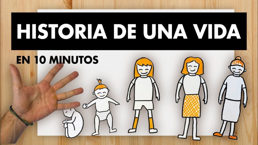 Descubre las etapas de la vida y cómo influyen en tu bienestar | Guía ...