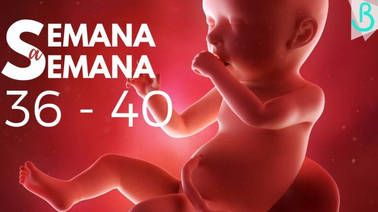 Descubre cuántas semanas nacen los bebés: todo lo que necesitas saber ...