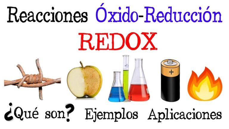Descubre cómo las reacciones redox influyen en tu vida diaria: una guía completa - Educación ...